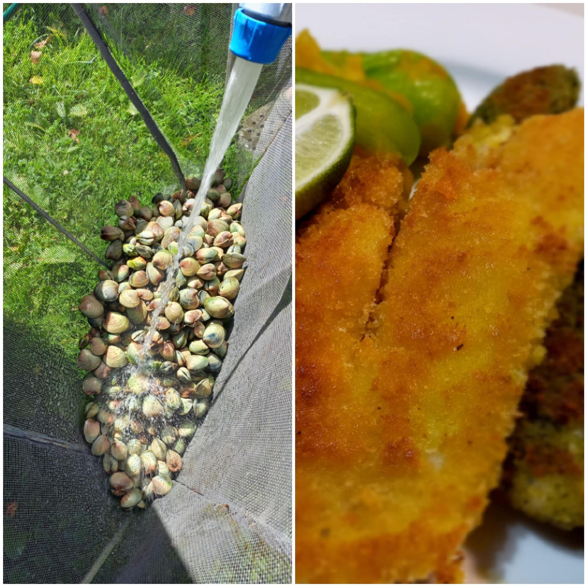 Fishing for food - Grow, gather, fish and hunt good food